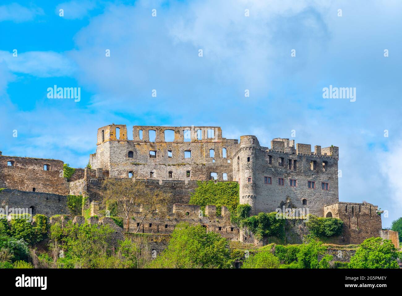 Mighty medieval fortress Rheinfels Castle at the Rhine castle trail in ...