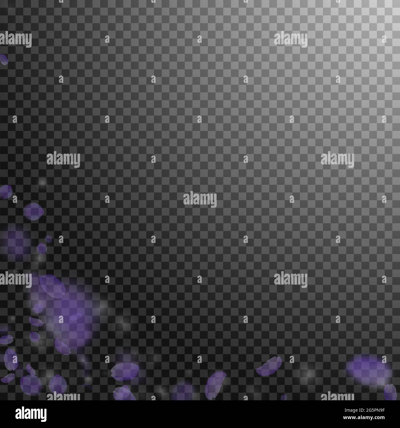 Tender violet flower blossom Stock Vector Images - Alamy