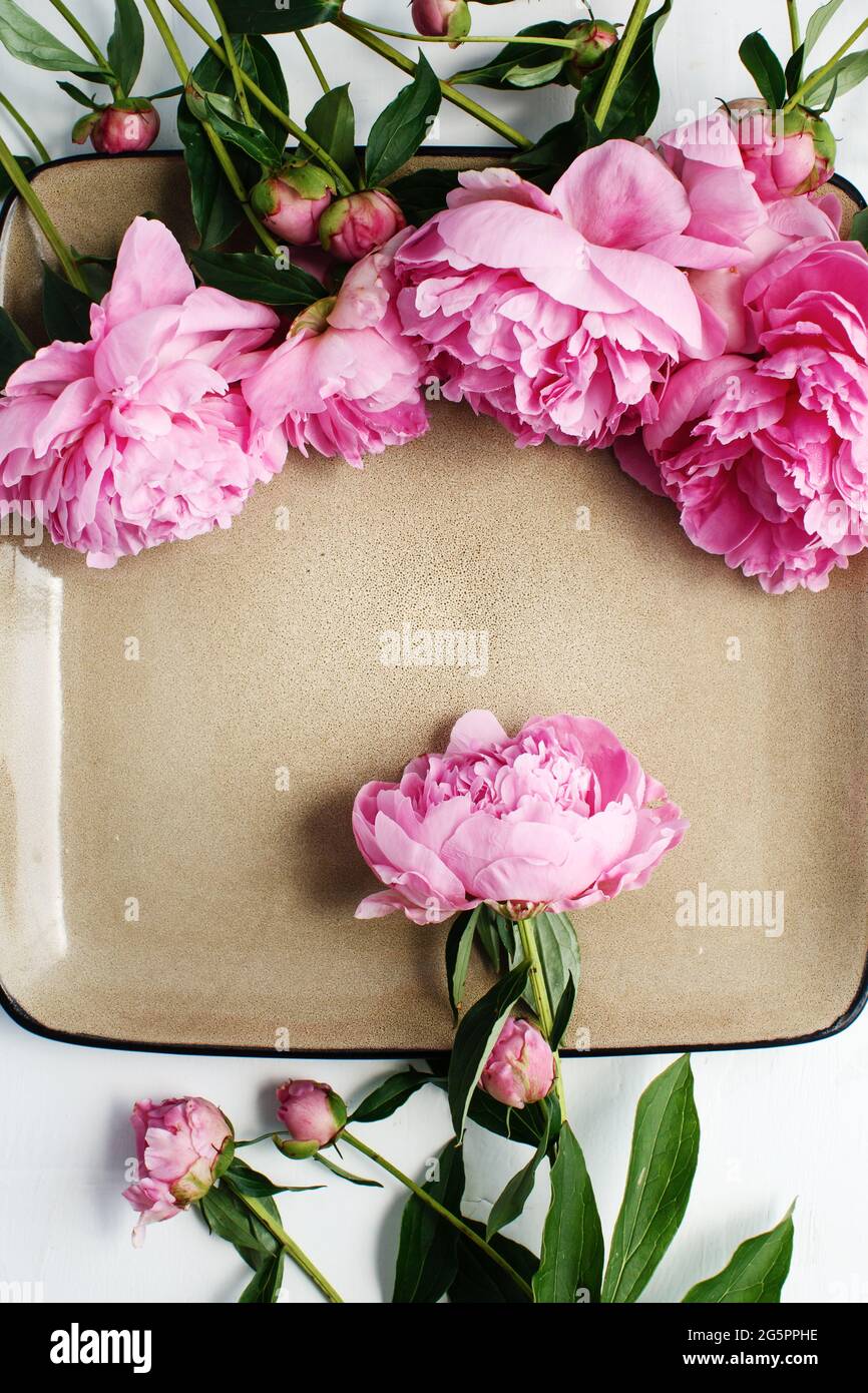 Simple flat lay flower frame of pink peonies, spring and summer season ...