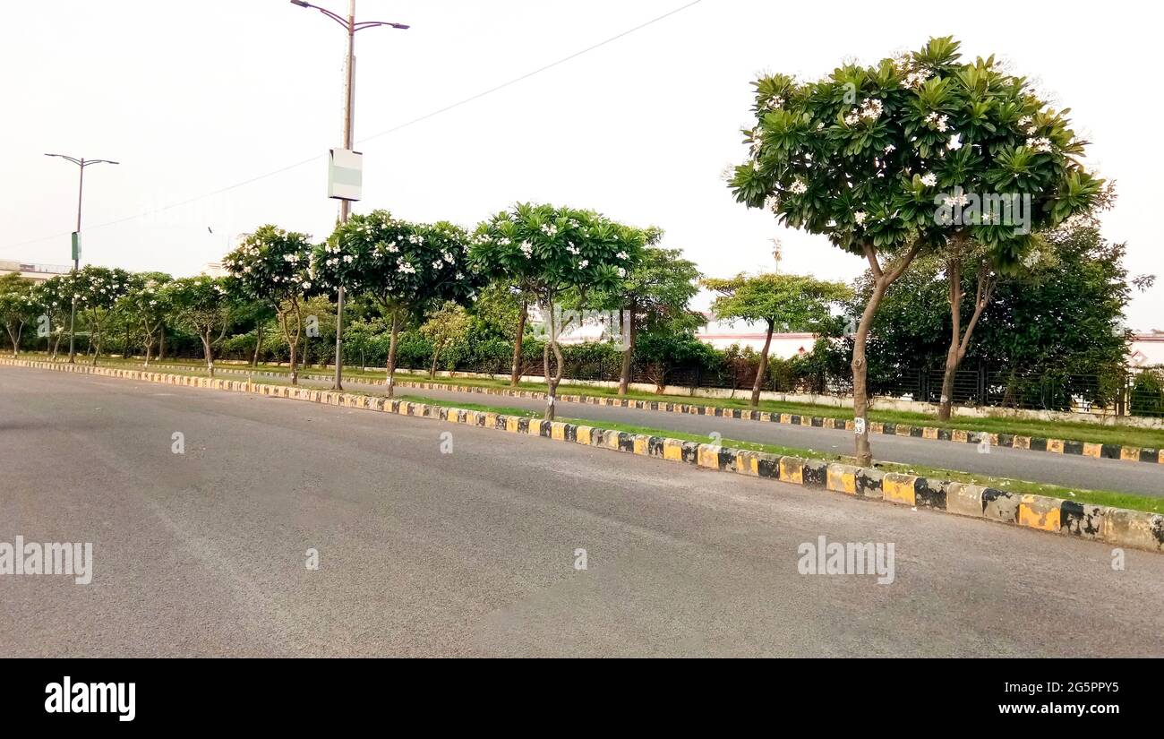 Indian greenery hi-res stock photography and images - Alamy