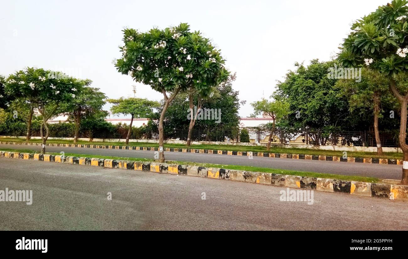 Indian greenery hi-res stock photography and images - Alamy