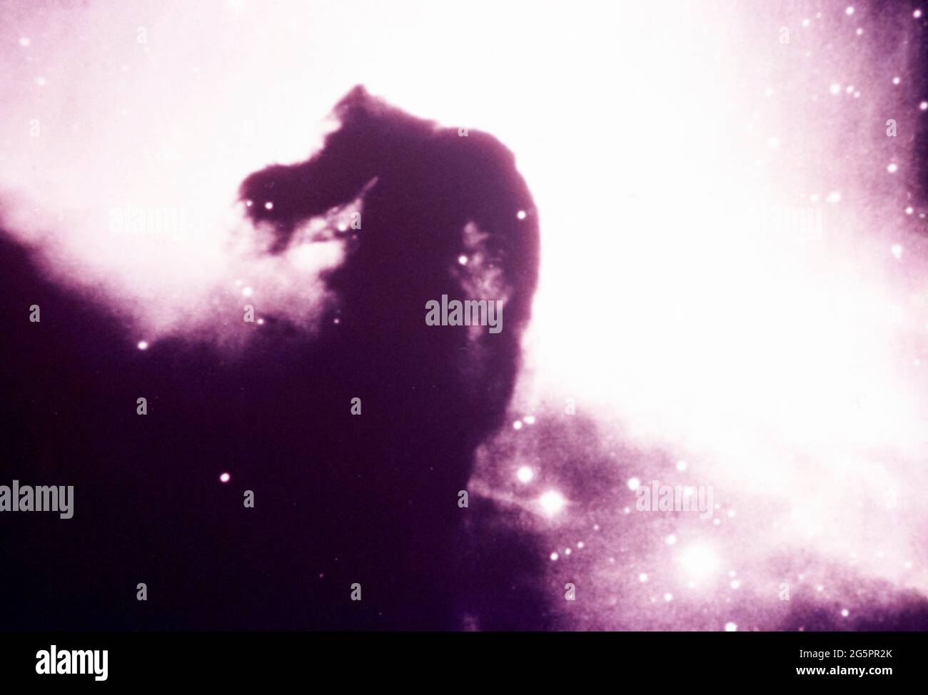 The Horsehead Nebula in the Orion Constellation Stock Photo - Alamy