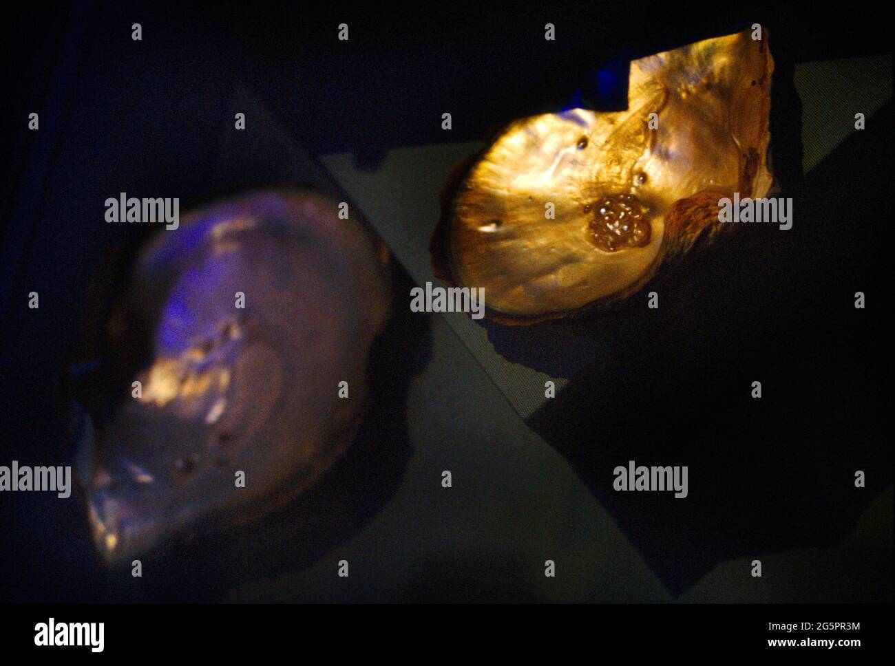 Dubai UAE Dubai Museum Pearl Exhibit Stock Photo - Alamy