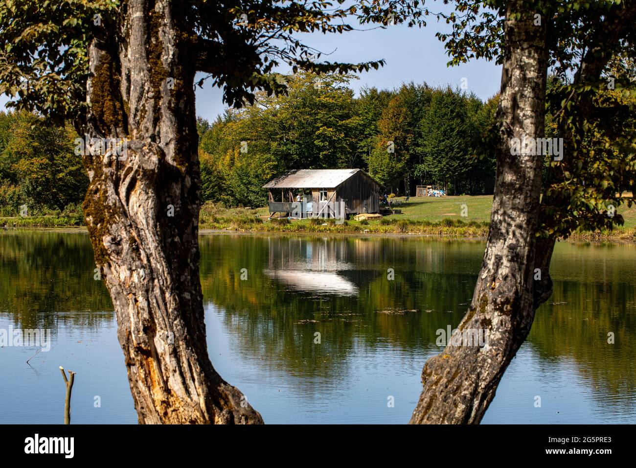 A high-resolution image of the rare nature scene that emerges from the ...