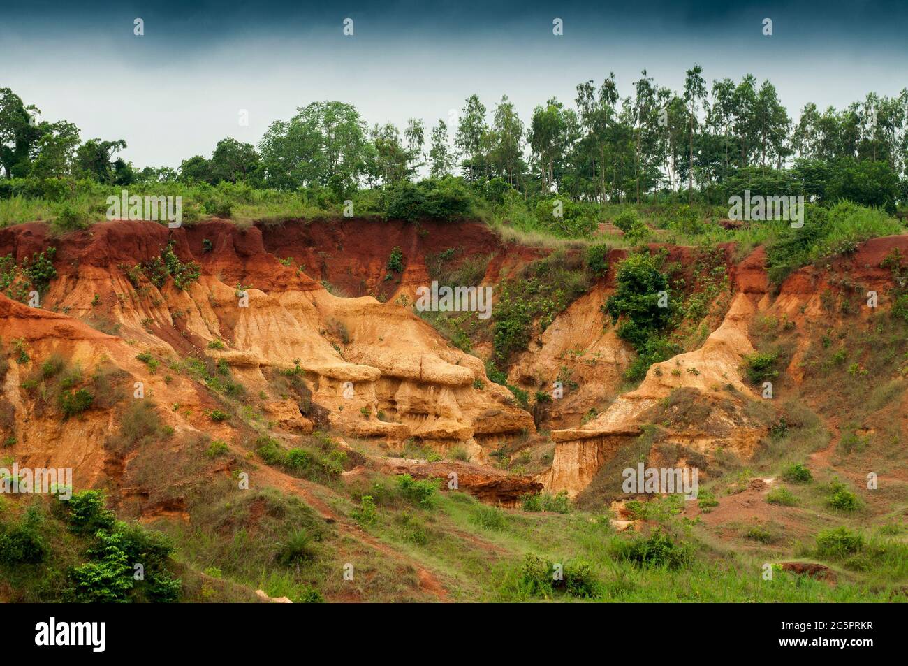 gongoni, called "grand canyon" of west bengal, gorge of red soil, India ...