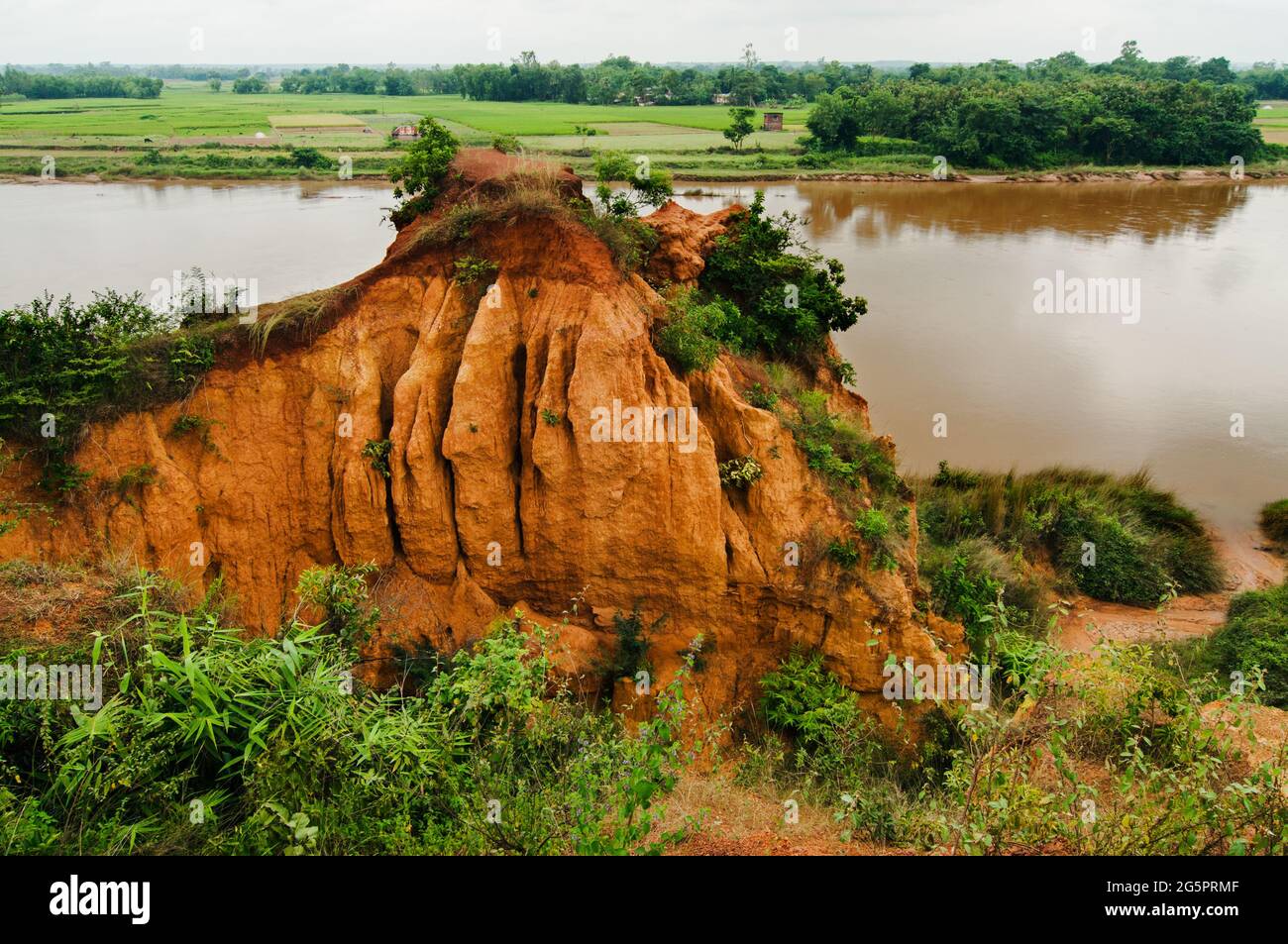 gongoni, called "grand canyon" of west bengal, gorge of red soil, India ...