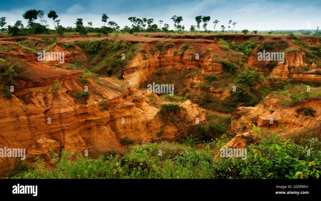 gongoni, called "grand canyon" of west bengal, gorge of red soil, India ...