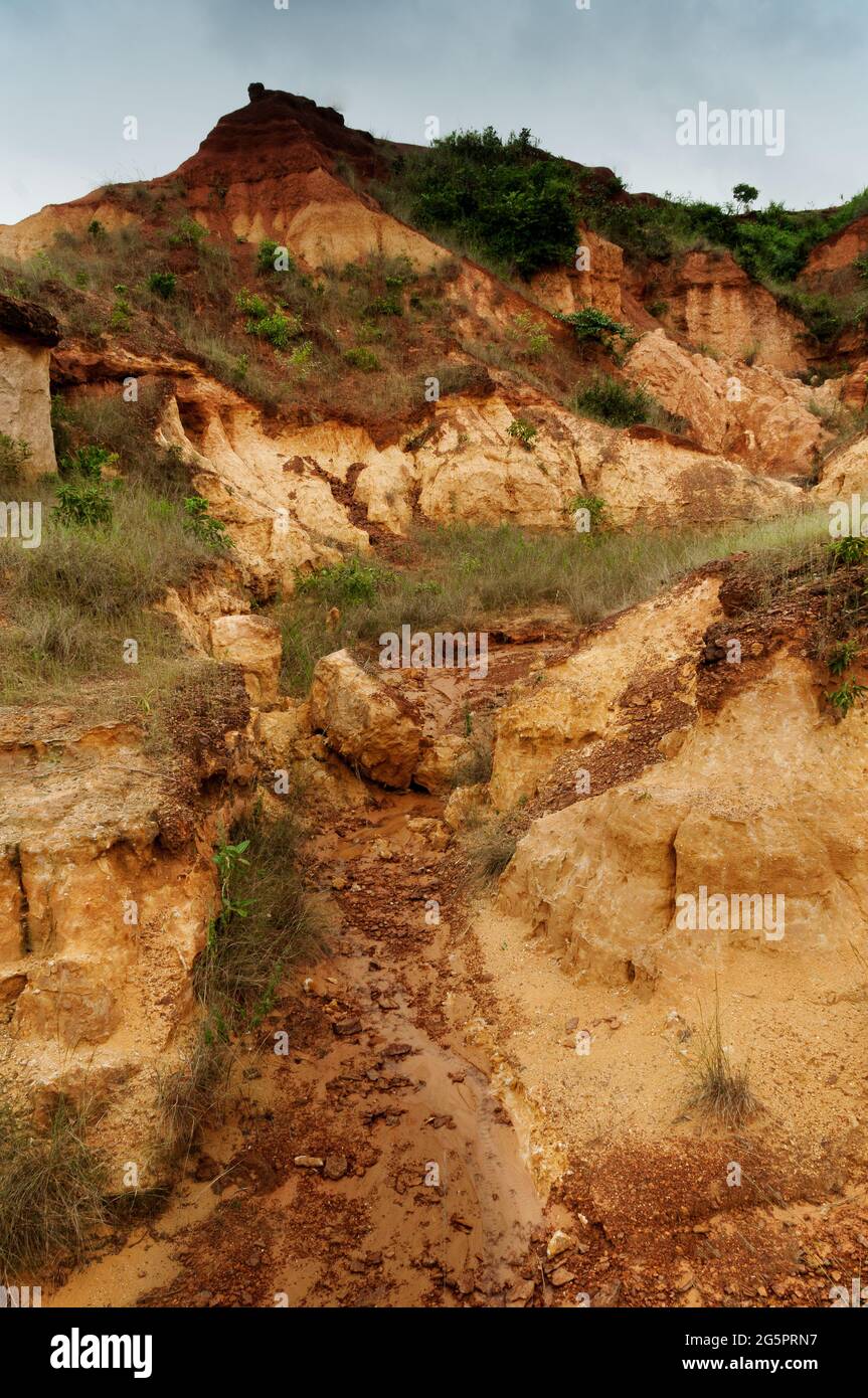 gongoni, called "grand canyon" of west bengal, gorge of red soil, India ...