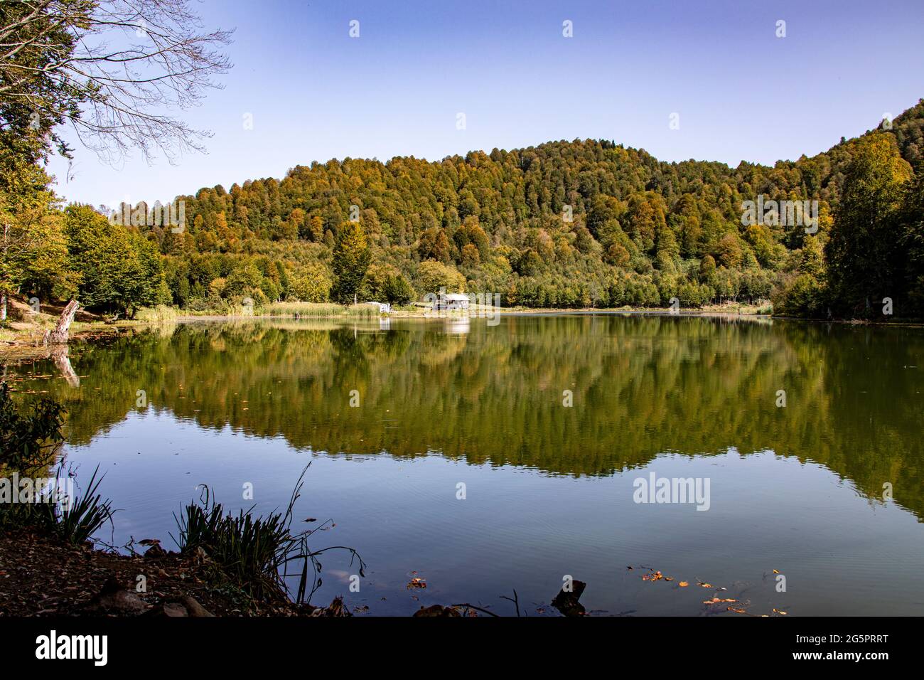 A view of a lake surrounded by trees and rich vegetation under the ...