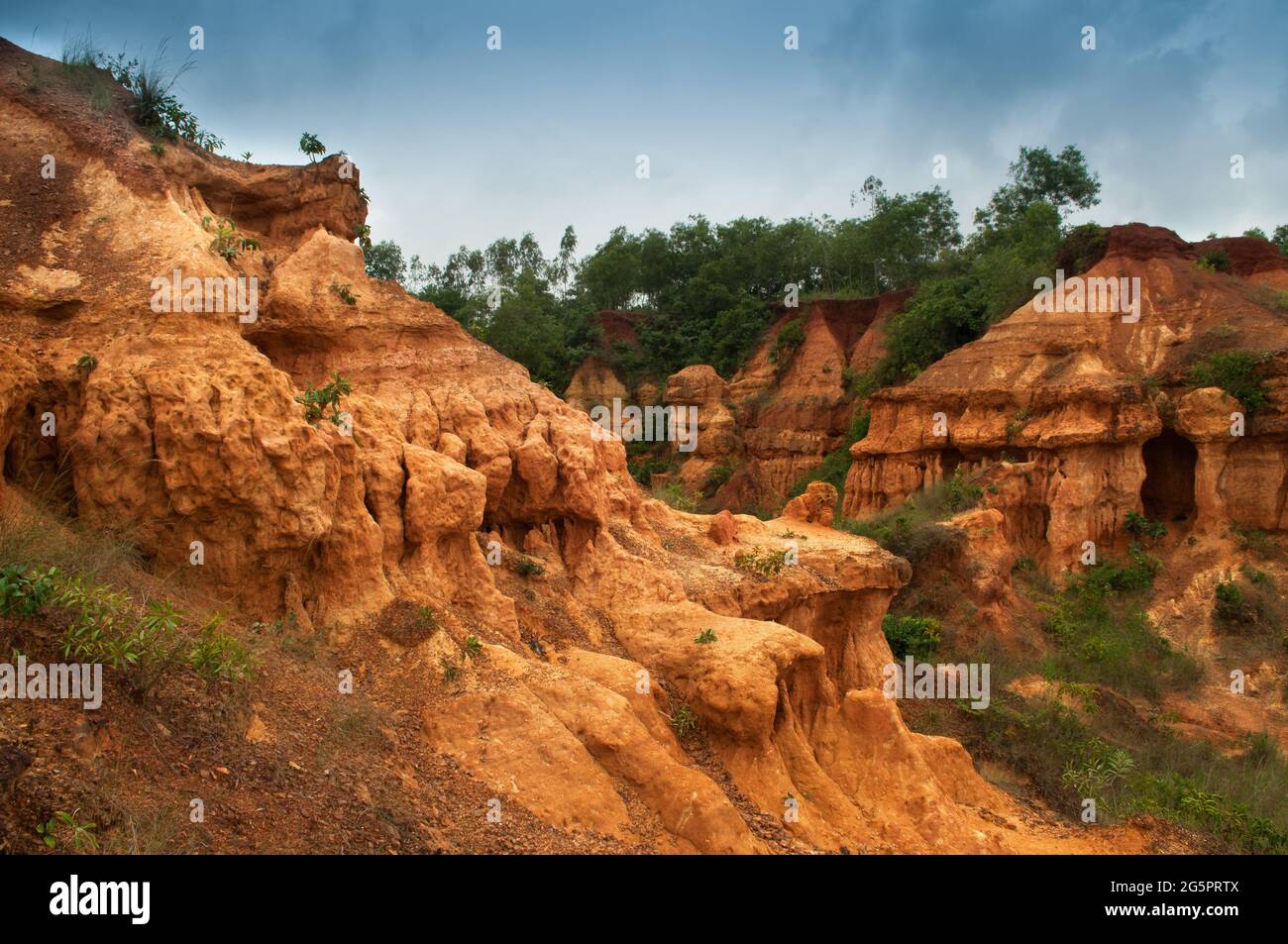 gongoni, called "grand canyon" of west bengal, gorge of red soil, India ...