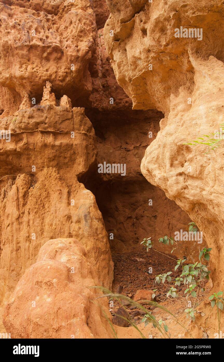 gongoni, called "grand canyon" of west bengal, gorge of red soil, India ...