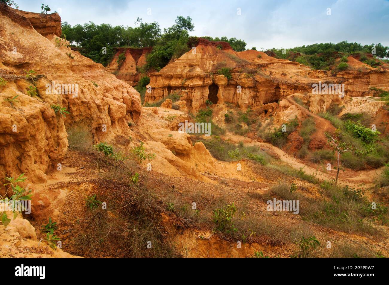 gongoni, called "grand canyon" of west bengal, gorge of red soil, India ...