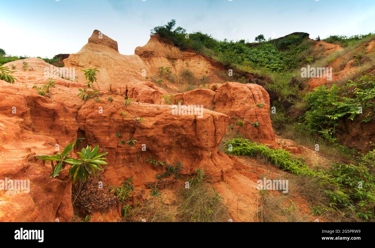 gongoni, called "grand canyon" of west bengal, gorge of red soil, India ...