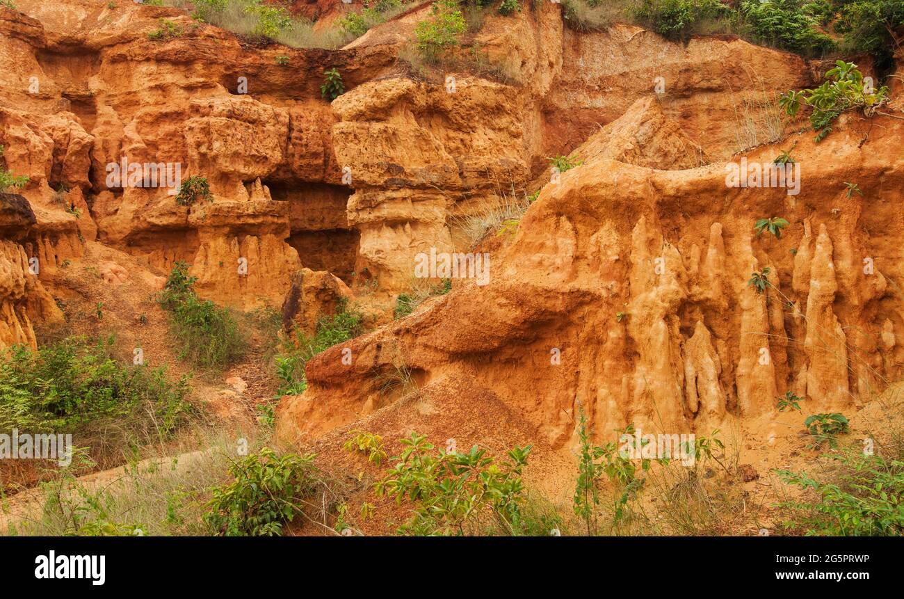 gongoni, called "grand canyon" of west bengal, gorge of red soil, India ...