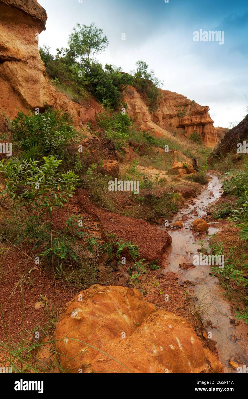 gongoni, called "grand canyon" of west bengal, gorge of red soil, India ...