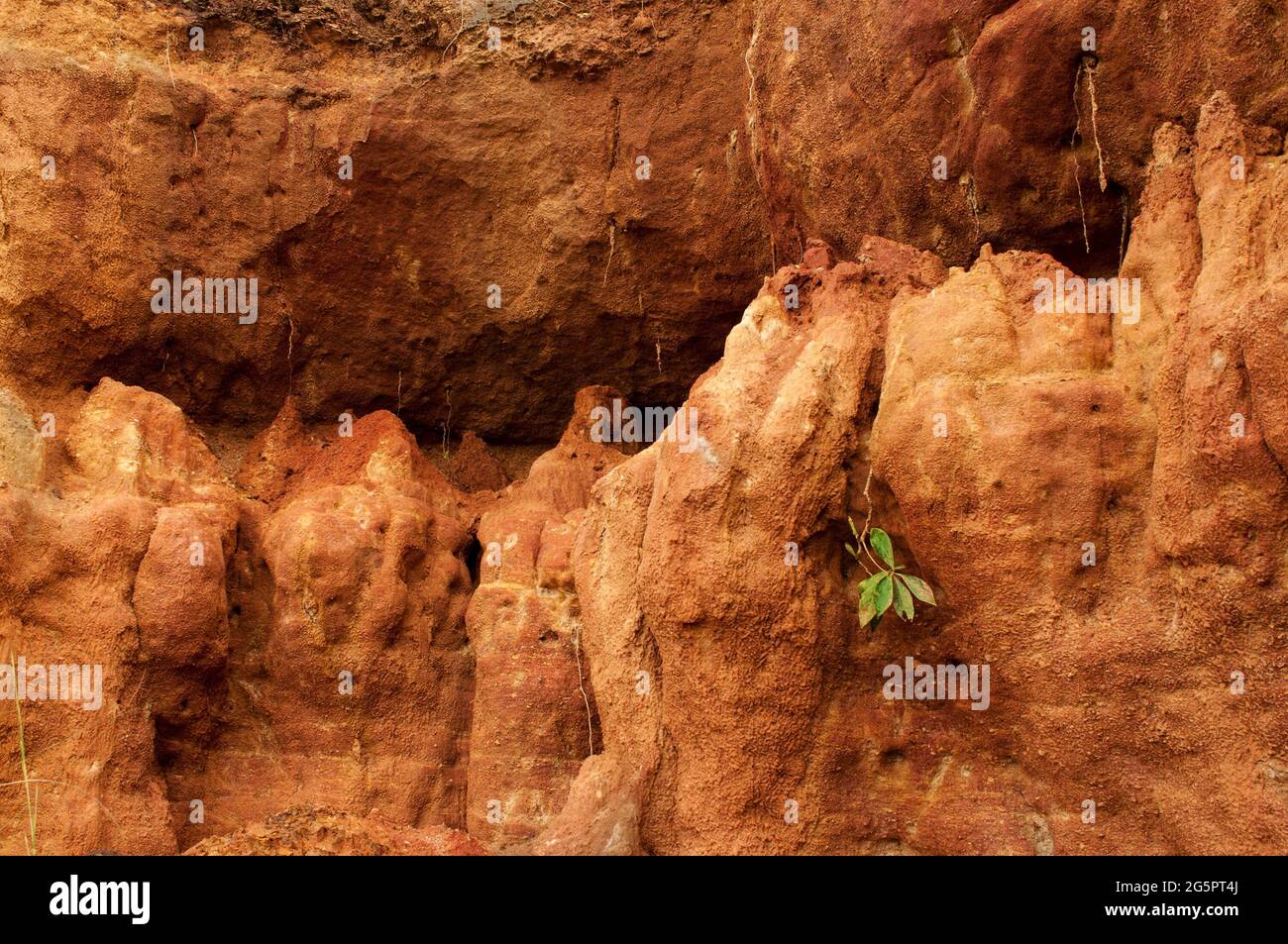 Gongoni hi-res stock photography and images - Alamy