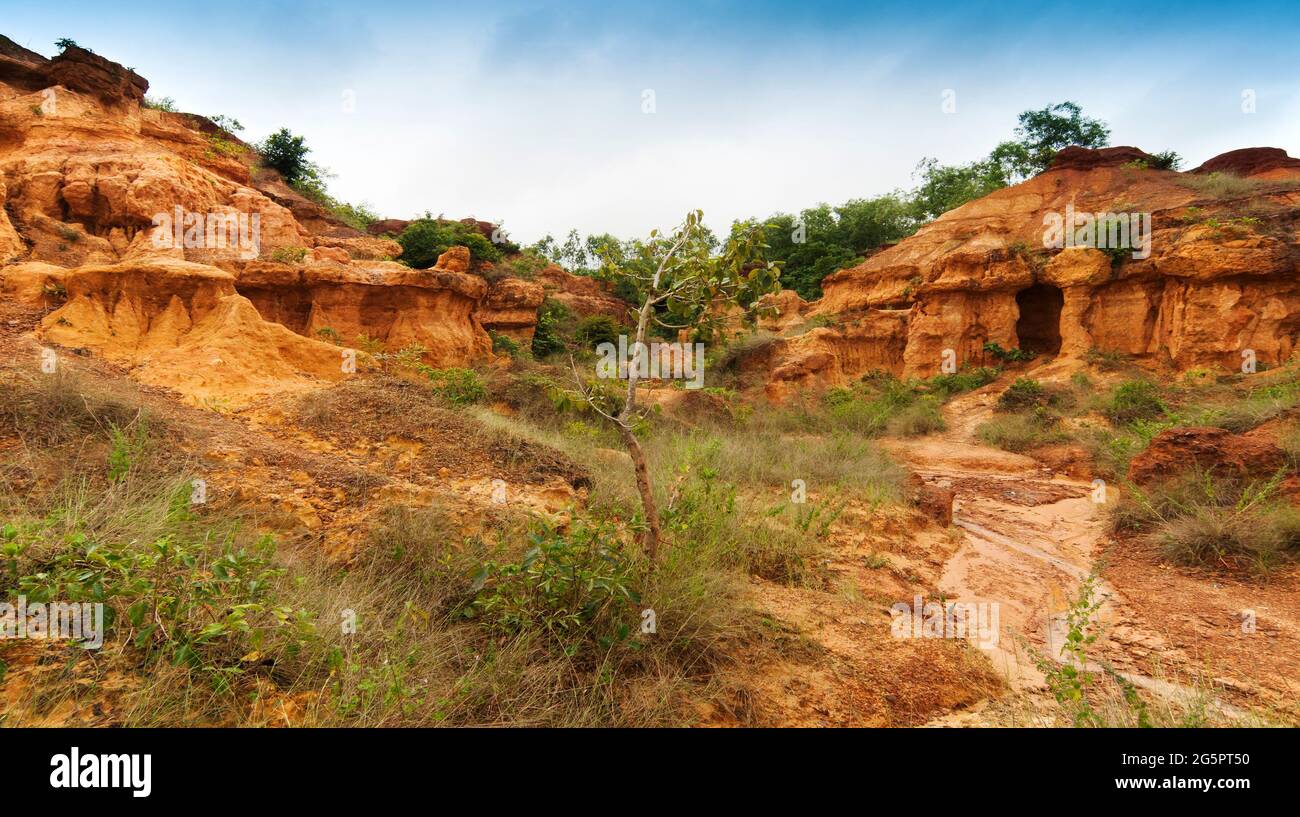 gongoni, called "grand canyon" of west bengal, gorge of red soil, India ...