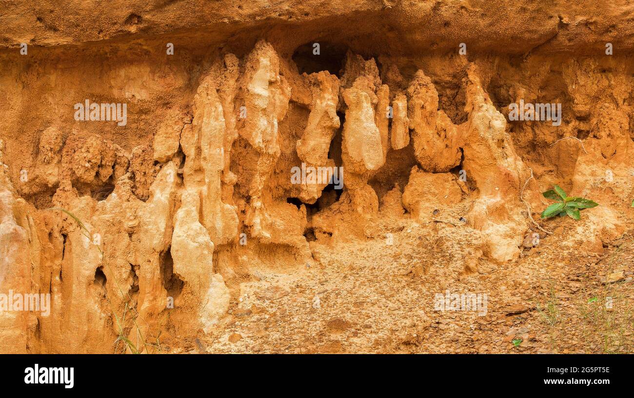 gongoni, called "grand canyon" of west bengal, gorge of red soil, India ...