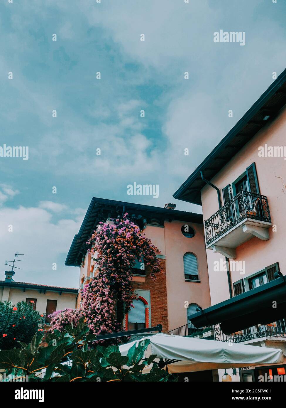 View at the European two-story buildings with climbing flowering plants ...