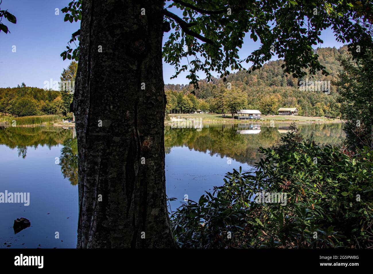 A view of a lake surrounded by trees and rich vegetation under the ...