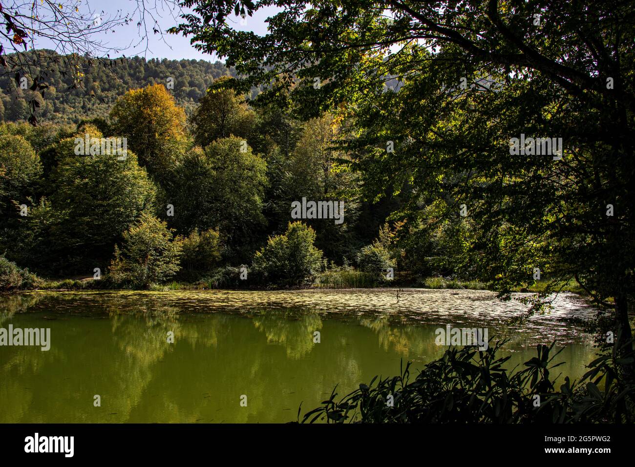 A view of a lake surrounded by trees and rich vegetation under the ...