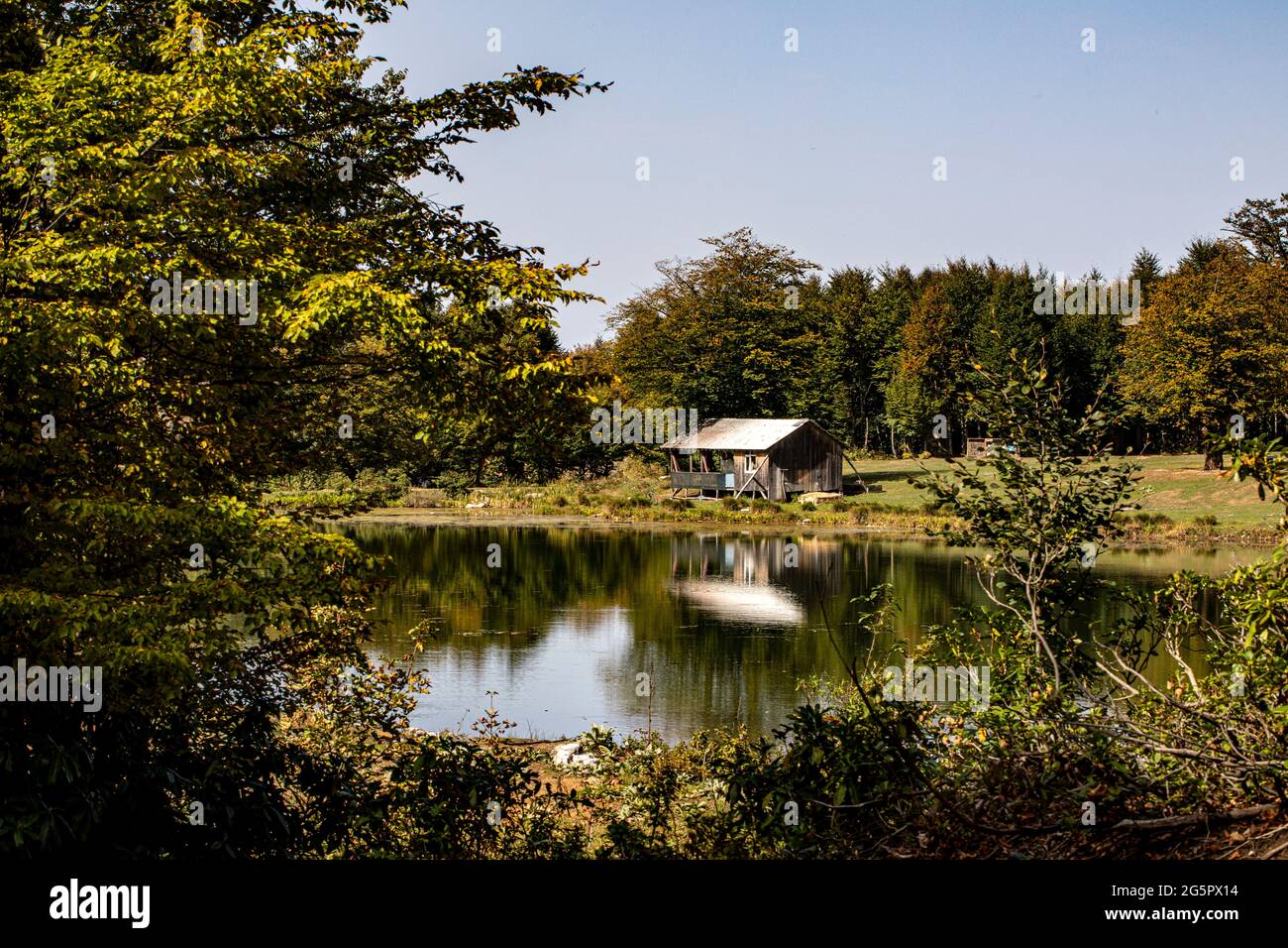 A high-resolution image of the rare nature scene that emerges from the ...