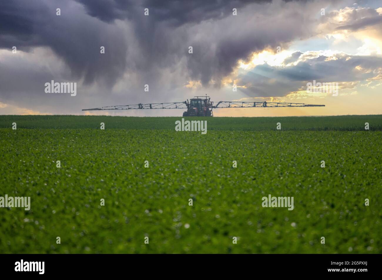 farmer spraying his field with pesticide Stock Photo - Alamy