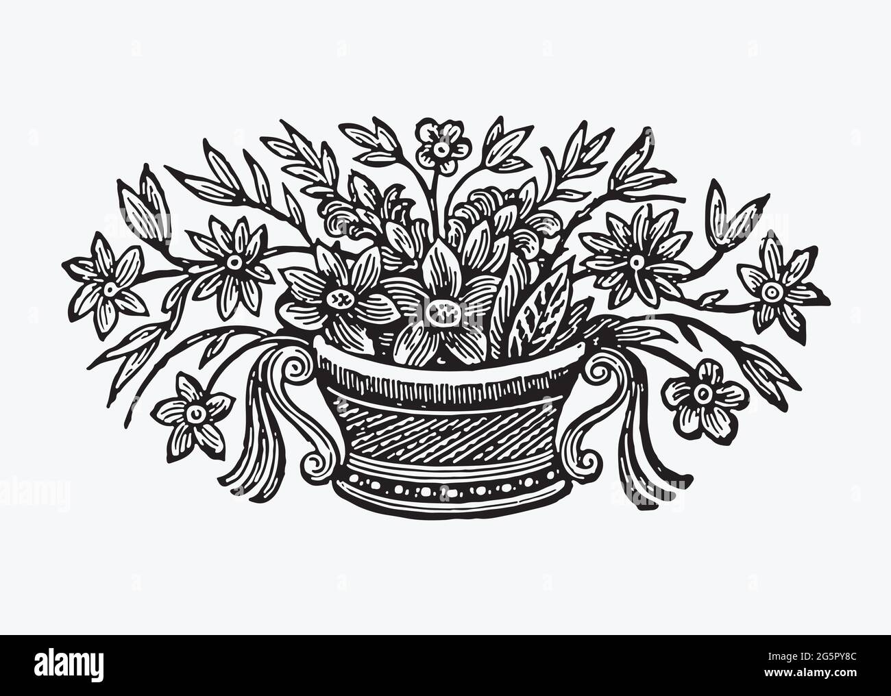 Engraving Plant Pot High Resolution Stock Photography and Images - Alamy