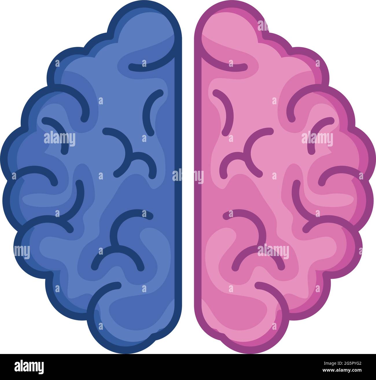 pink and blue brain Stock Vector Image & Art - Alamy