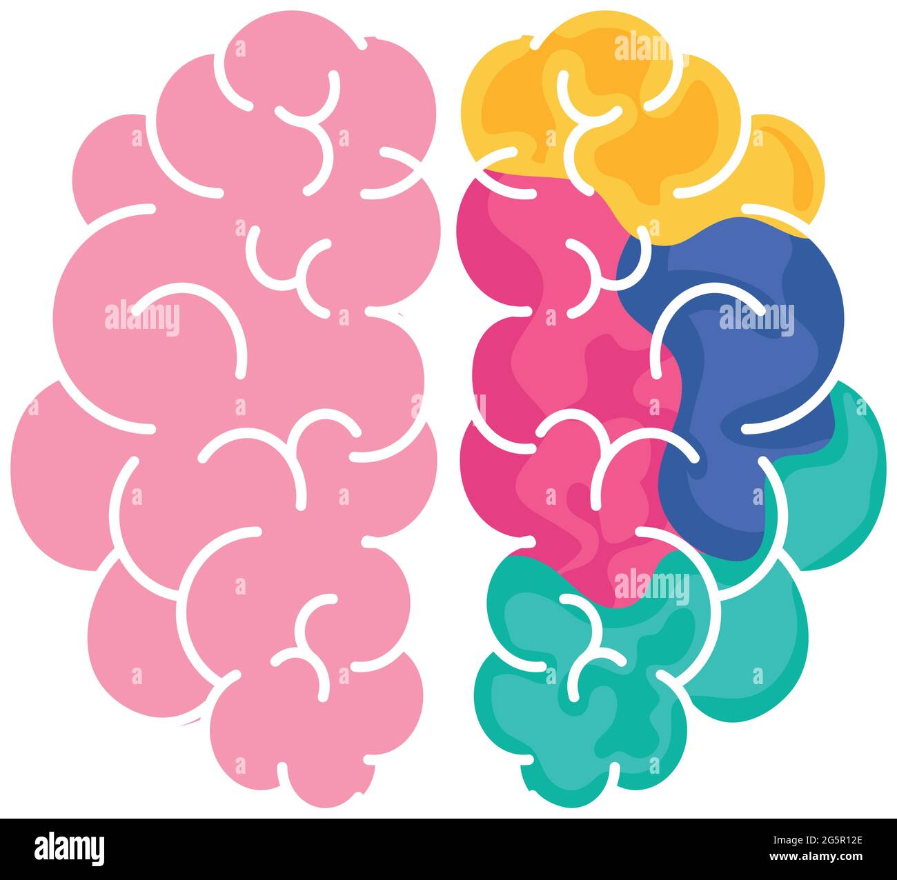 pink and colored brain Stock Vector Image & Art - Alamy