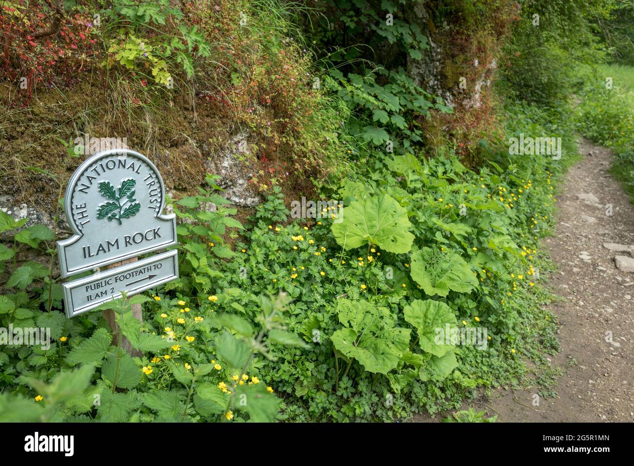 National Trust sign too Ilam Rock, Peak District, England Stock Photo ...