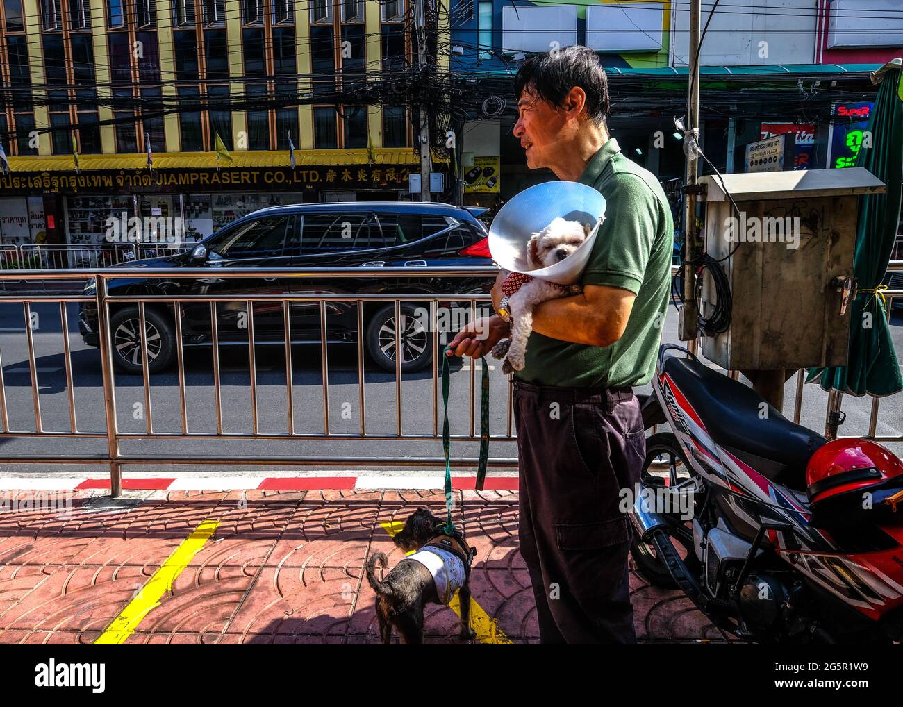Covid dog thailand hi-res stock photography and images - Alamy