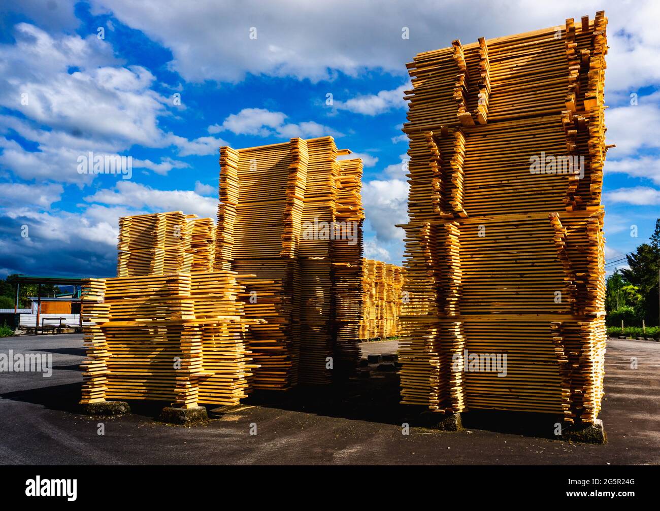 Drying Column High Resolution Stock Photography and Images - Alamy
