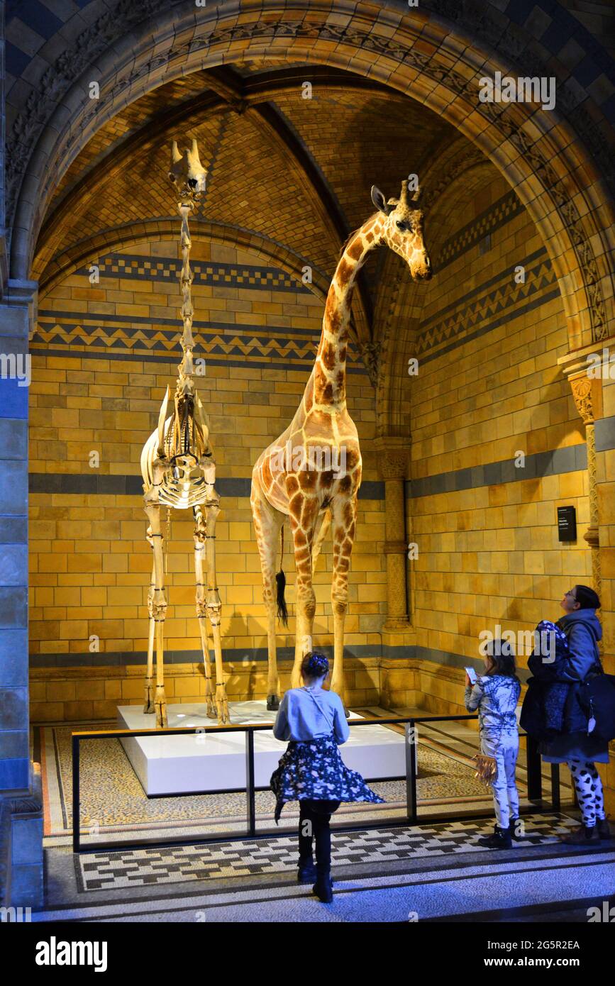 Great western hall hi-res stock photography and images - Alamy