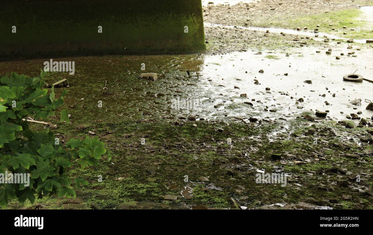 Still life photography, nature life, quiet life, Trees Flowers Woods ...