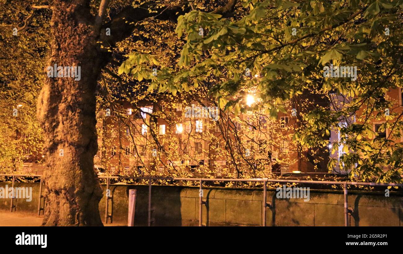 Still life photography, nature life, quiet life, Trees Flowers Woods ...