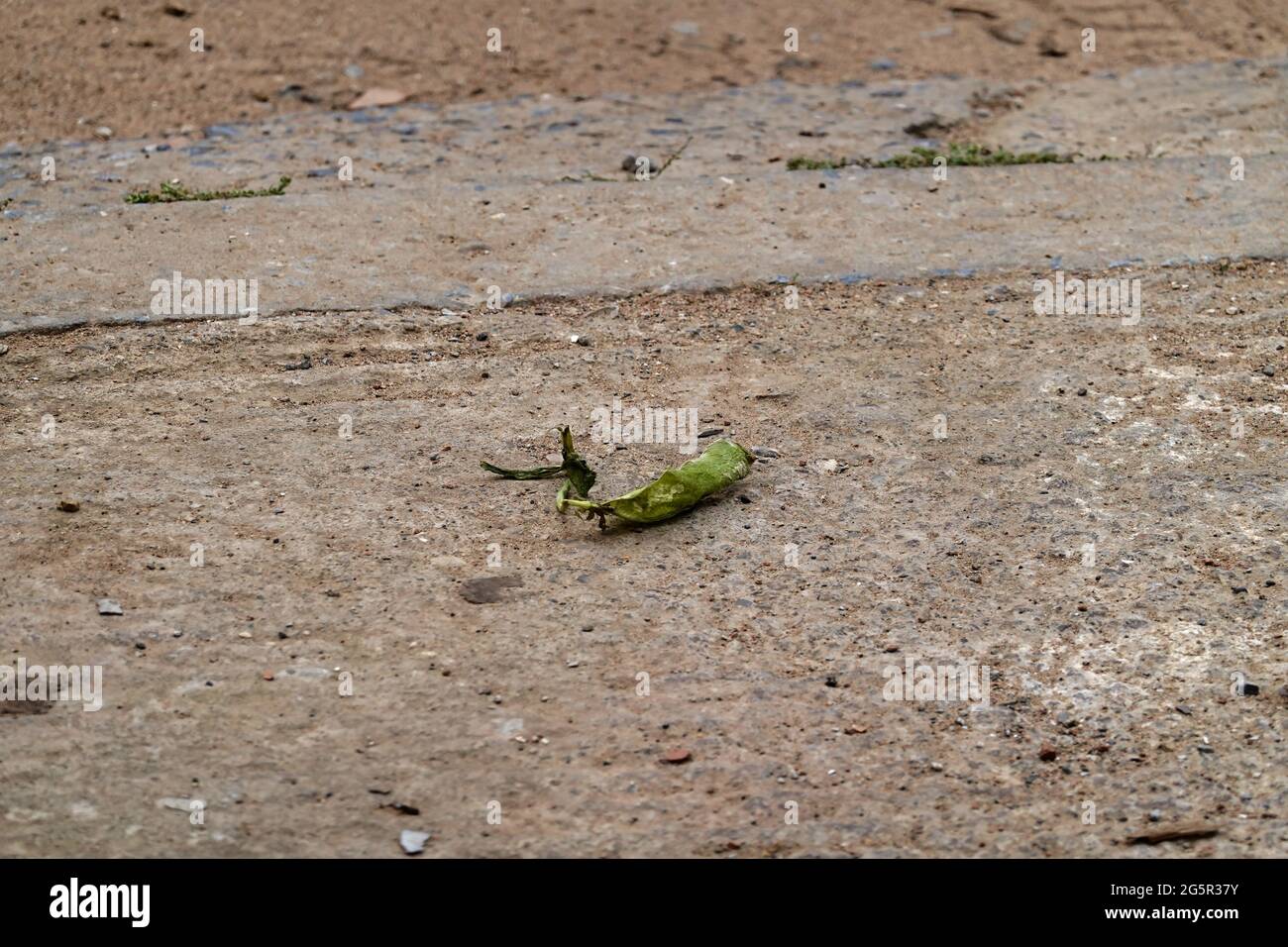 Shot of a dirty ground Stock Photo - Alamy