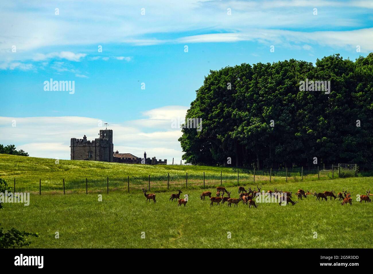 Summer uk countryside castle hi-res stock photography and images - Alamy