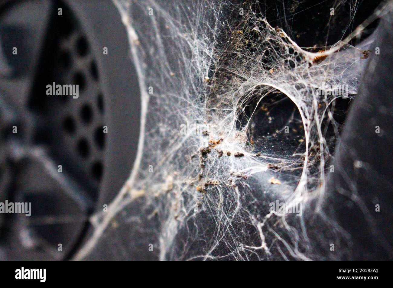 Dust web hi-res stock photography and images - Alamy