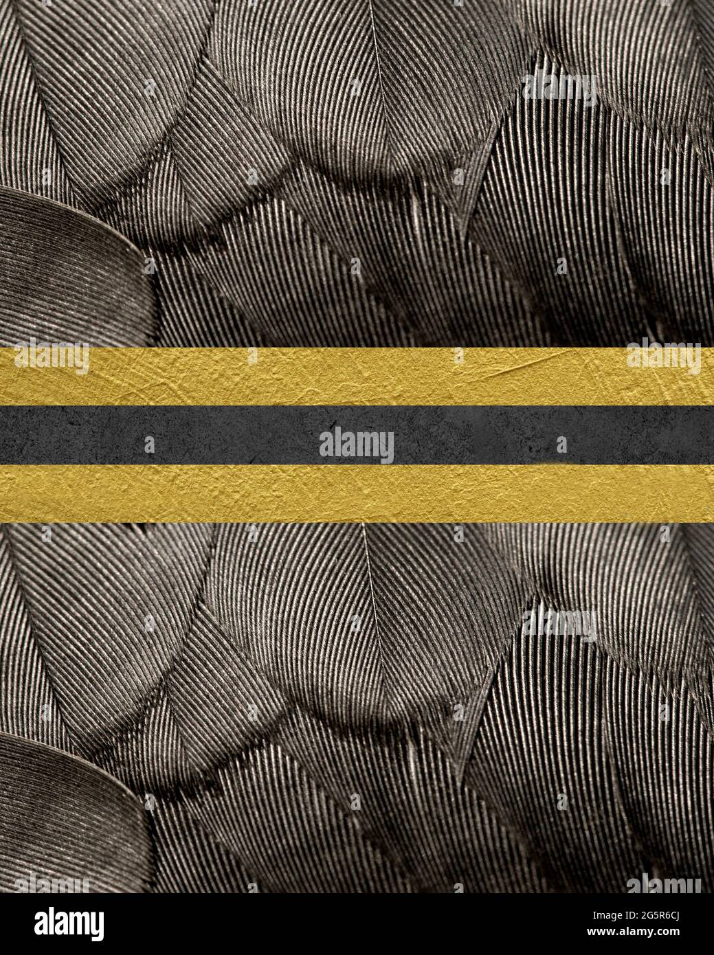 Graphic design elements - Wall paper, textile design, pattern, texture ...