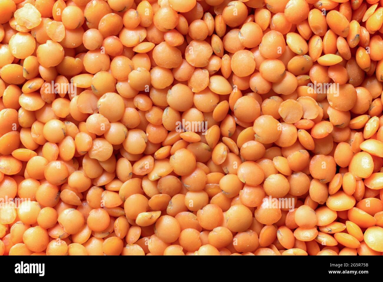 Red lentils pattern as background. Natural organic lentils. Dry ...