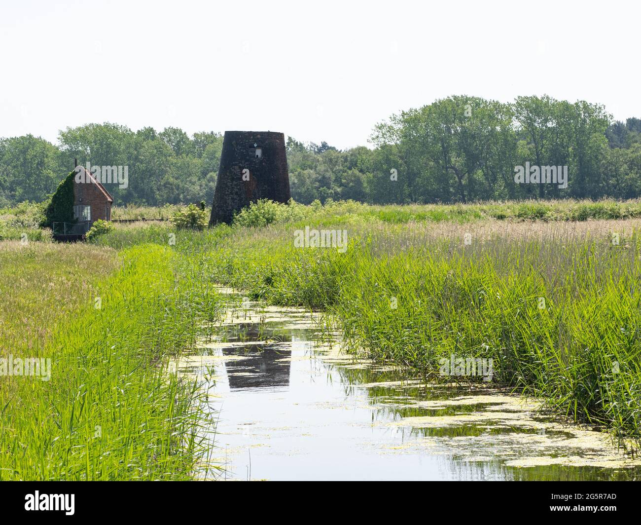 Norfolk Drainage channels and marshes Stock Photo - Alamy
