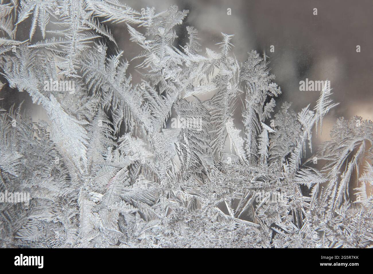 variety of frost patterns on a winter window Stock Photo - Alamy