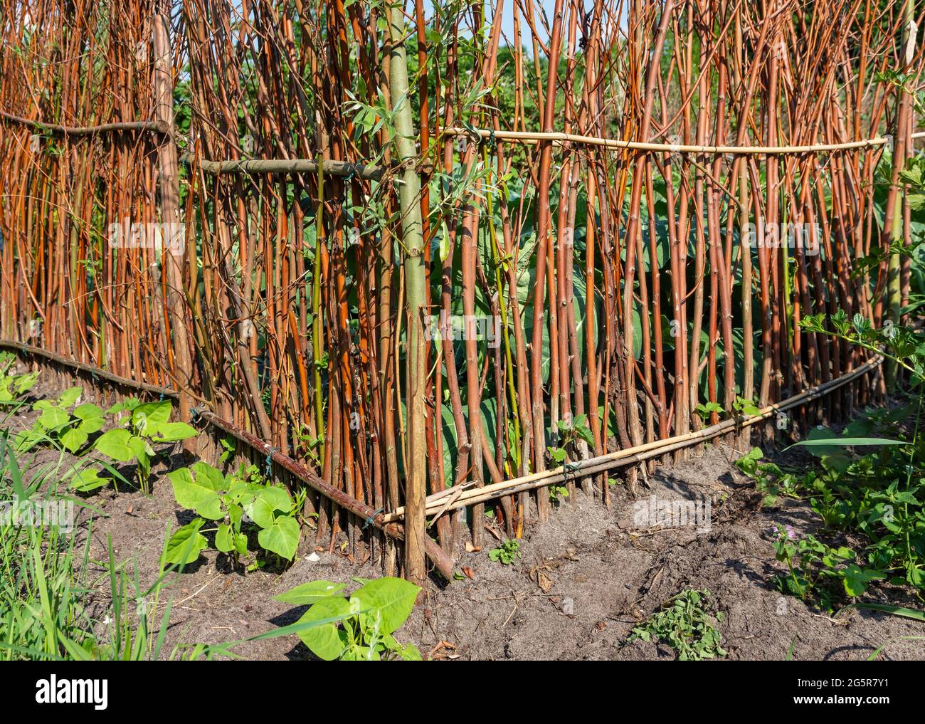 Made from branches hi-res stock photography and images - Alamy