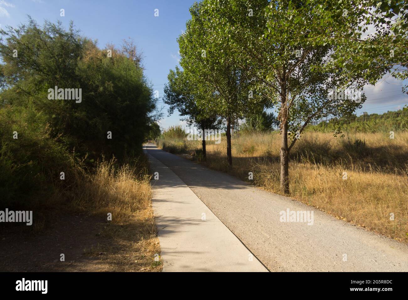 Path splitting in two directions hi-res stock photography and images ...