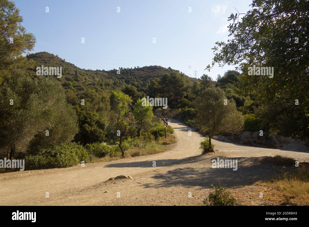 Two paths different directions hi-res stock photography and images - Alamy