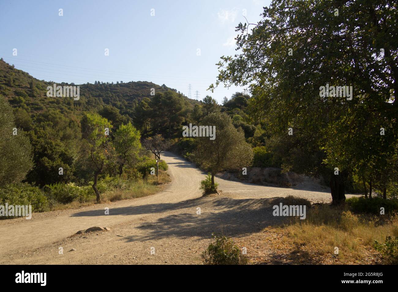 Path splitting in two directions hi-res stock photography and images ...