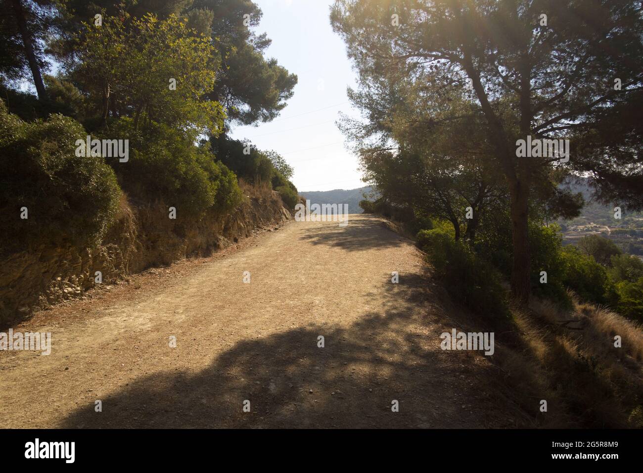 Paths and trails in the mountains and near the river; trails for ...