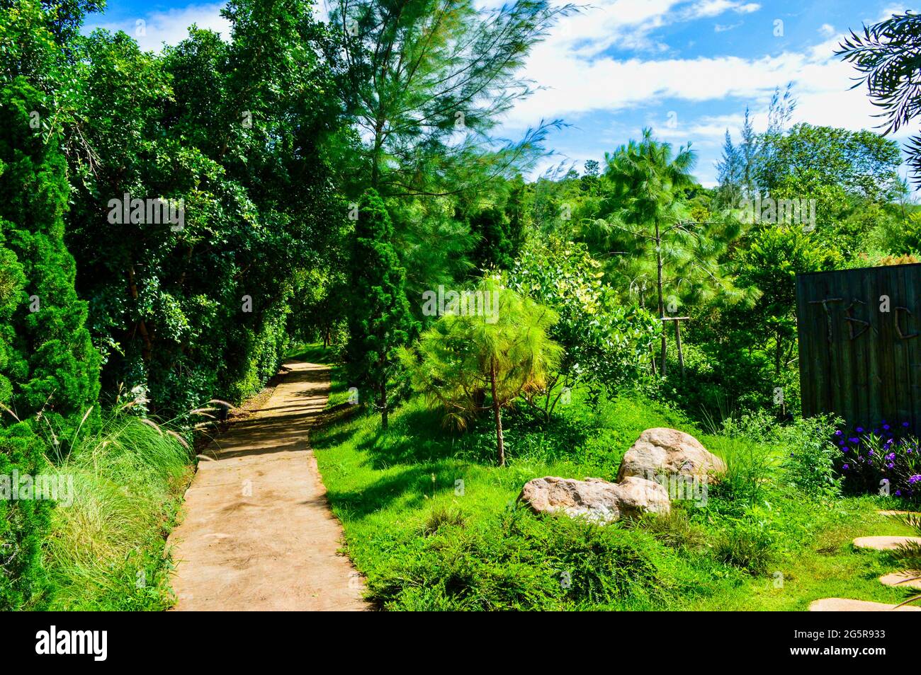 The path to the natural forest is a way of rest and relaxation Stock ...