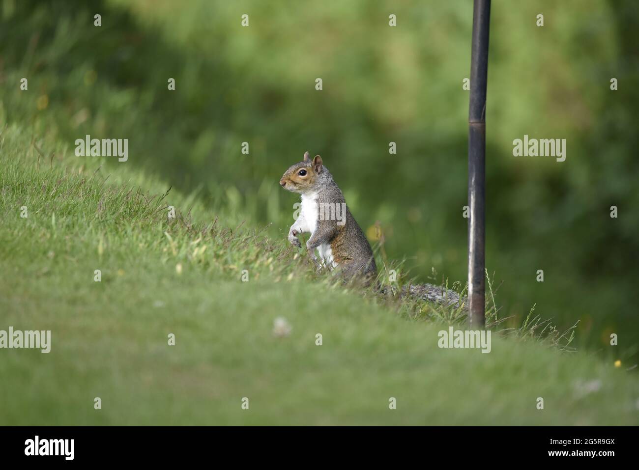 Uk feet hi-res stock photography and images - Alamy